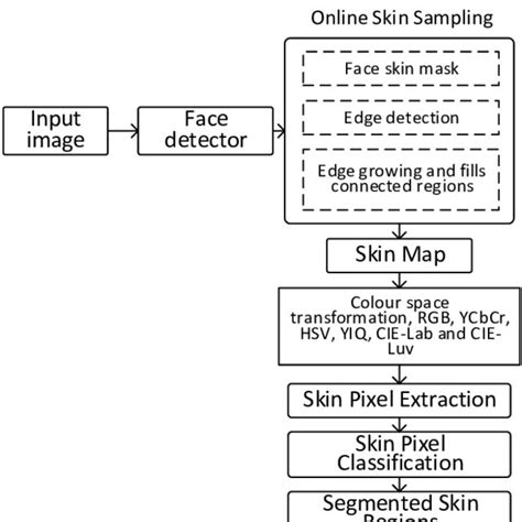Skin Detection Framework Download Scientific Diagram