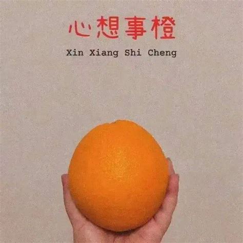 隔年再战，二本逆袭985：人但有恒，事无不成！工作院校专业