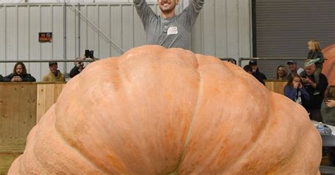 Tik Tok Famous Pumpkin Breaks Topsfield Fair Record News