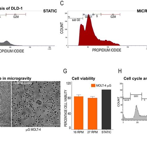 Effect Of Microgravity On Cell Viability And Cell Cycle Of Dld 1 And Download Scientific