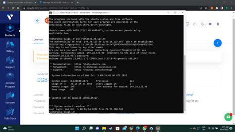 how to setup virtual machine on vultr and reasons why user can use this