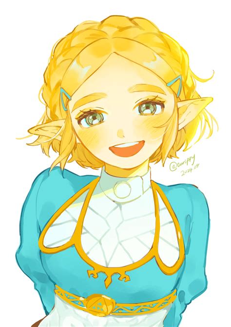 Zelda Breath Of The Wild Zelda No Densetsu Breath Of The Wild Image By Turippy