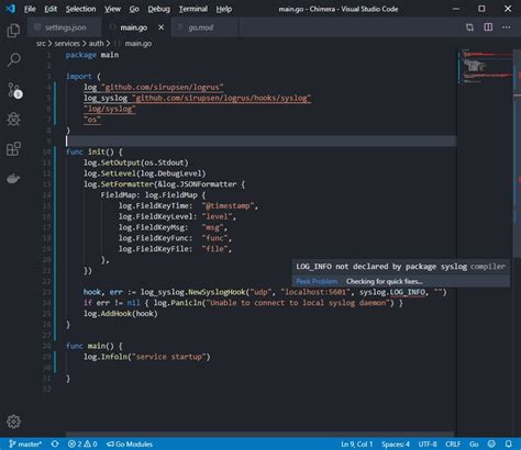 Importing Package From Module Sub Directory Does Not Work · Issue 2995 · Microsoftvscode Go