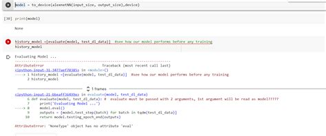 Transfer Learning Using Pytorch Model Gives Output As None