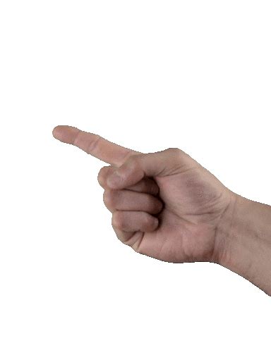 Finger Index Sticker Finger Index Rotate Discover And Share S