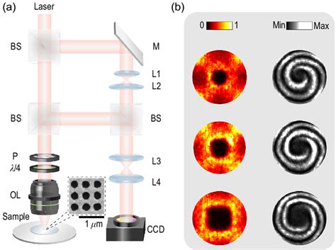 A The Experimental Set Up Bs Beam Splitter L1 L4 Lenses M