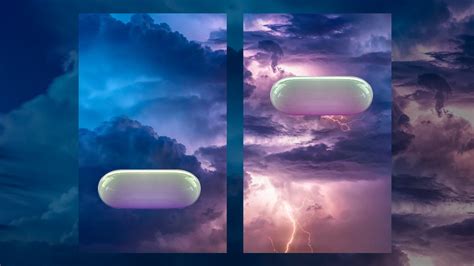 Tiny Tic Tac Plays Hopscotch Near Plane Over California