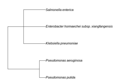 R Hierarchical Categorical Data To Tree Plot Stack Overflow