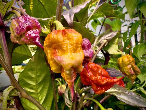 Omicslogic Inc Discover Your Future Career Path And Accelerate Your Success With Personalized