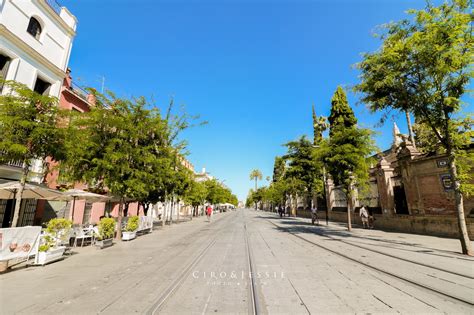 2024塞维利亚大学游玩攻略 老城区的建设任然保存着中世 【去哪儿攻略】