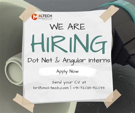 Techinternship Dotnet Angular Developeropportunity Innovation