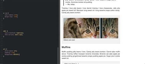 Tuto Css Et La Typographie Sur