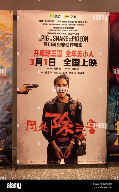 Qingyuan Guangdong China February 14 2024 Poster Of The Movie Named The