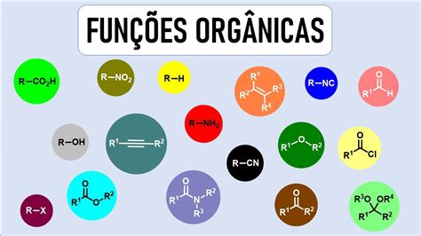 Funções Orgânicas Conheça Os Principais Grupos Funcionais Em Química