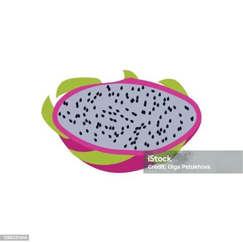 드래곤 과일 피타야 흰색 배경에 열대 벡터 손 도면의 스타일 0명에 대한 스톡 벡터 아트 및 기타 이미지 0명 건강한 식생활 날것 Istock