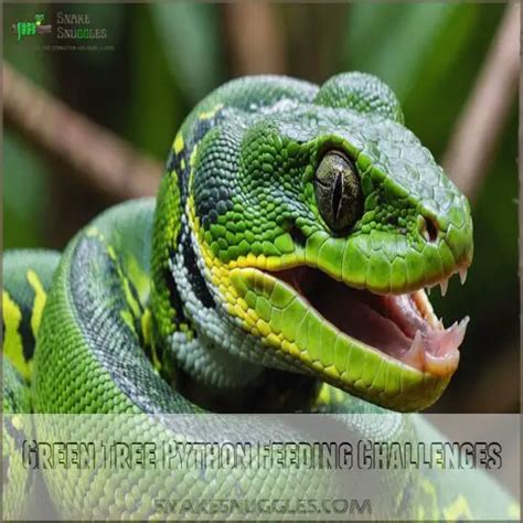 Green Tree Pythons What Do They Eat In Wild And Captivity