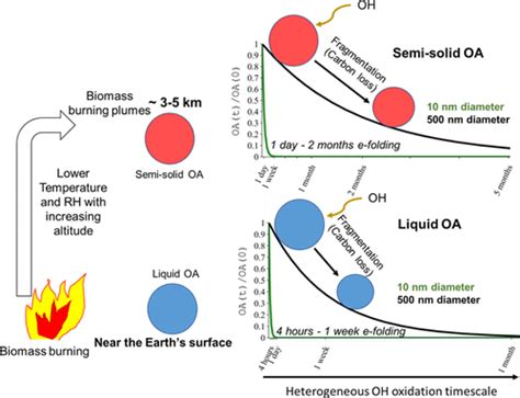 Modeling The Impact Of The Organic Aerosol Phase State On Multiphase Oh