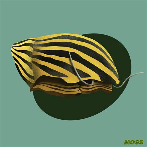 A Snail Wow Rprocreate A Snail Wow Rprocreate