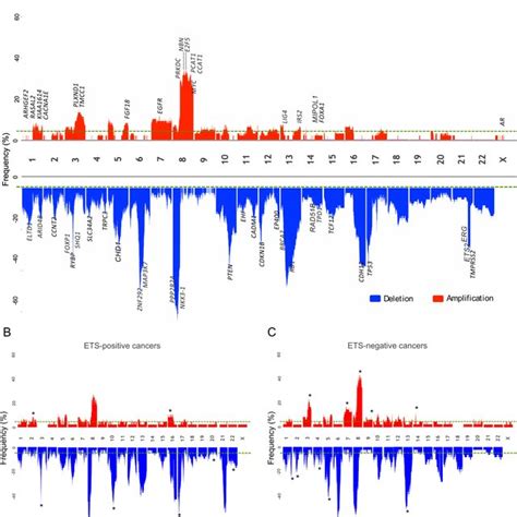 Frequency Plot Representing Regions Of Amplification Red And Deletion Download Scientific
