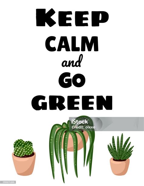 침착하게 녹색 엽서를 이동합니다 화분에 담긴 즙이 많은 식물 전단지 아늑한 라곰 스칸디나비아 스타일 포스터 고정됨에 대한 스톡 벡터 아트 및 기타 이미지 Istock