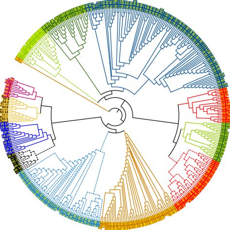 Phylogenetic Tree Of Hpv Based On Edit Distance Download Scientific