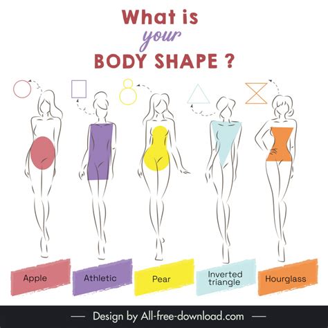 Body Shape Infographic Template Flat Handdrawn Ladies Outline Vectors