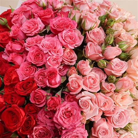 باقة بيبي جورى متنوعة كلاسيكية فلاورد الدمام