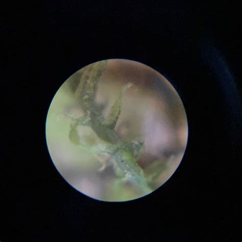 Zizi의 브런치스토리