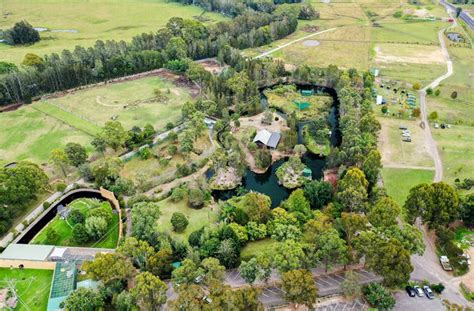 Mogo Wildlife Park Camping Urban List Sydney