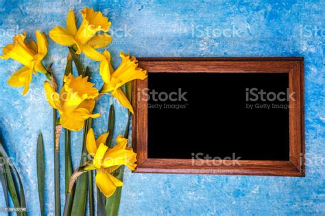 파란색 밝은 배경에 수선화와 분필 보드 맨 위 보기 공간을 복사합니다 0명에 대한 스톡 사진 및 기타 이미지 0명 개념 개화기 Istock
