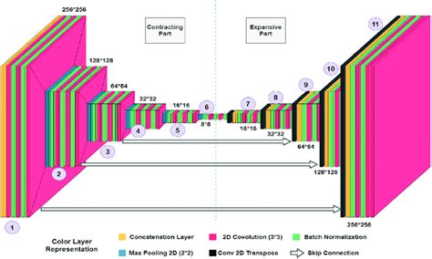 Modified U Net Architecture Used In This Study Download Scientific Diagram