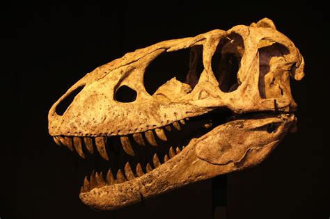 ҮЛЭГ ГҮРВЭЛИЙН 16 ОЛДВОРУУДЫГ ЭХ ОРОНДОО БУЦААН АВЧ ИРЛЭЭ ТАС МН