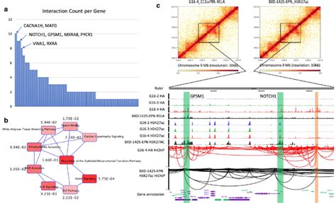 A Histogram Of Interaction Counts Per Gene The Interactions Coming Out