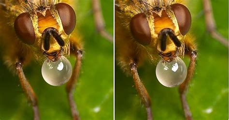 You Can Make Any Photo 3d Instructions In Comments Imgur