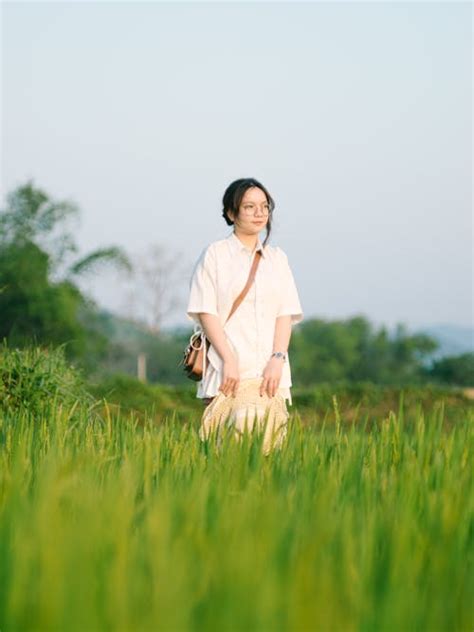 농촌의 들판 셀렉티브 포커스 시골 여름 자라는 자연 핑크 풀에 관한 무료 스톡 사진