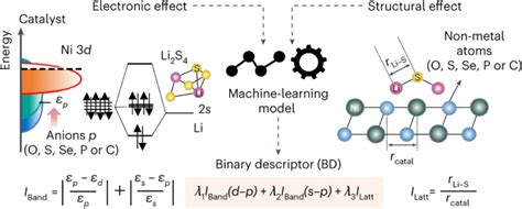 machine learning assisted design of a binary descriptor to decipher