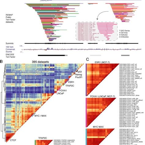 Chip Seq Binding Pattern Of 395 Data Sets A A Genome Browser Example