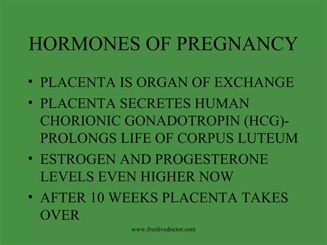 Sexual Intercourse Conception PPT