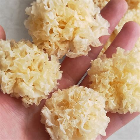 惠农优选椴木银耳250g