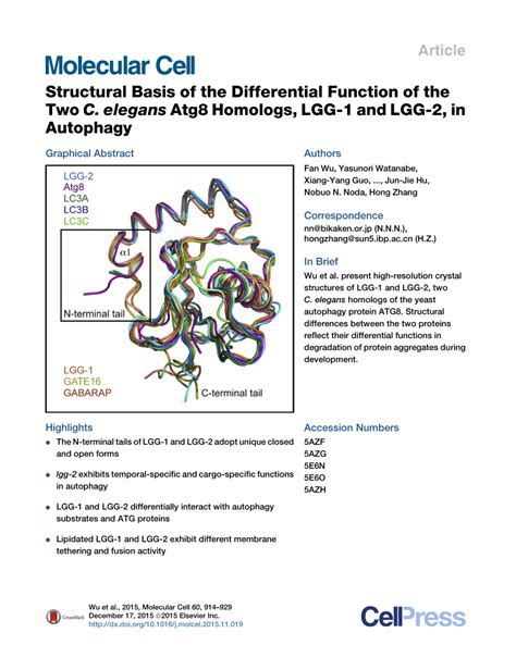 PDF Structural Basis Of The Differential Function Of The Two C Elegans Atg Homologs LGG