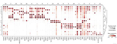 3基于python的scrna Seq细胞类型注释 手动注释scrna H5ad文件怎么快速注释 Csdn博客