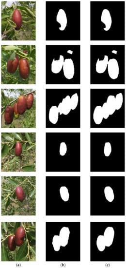 A Marker Controlled Watershed Algorithm For The Intelligent Picking Of