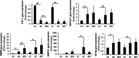 Pemf Treatment Effects On Anabolic And Catabolic Gene Expression Error Download Scientific
