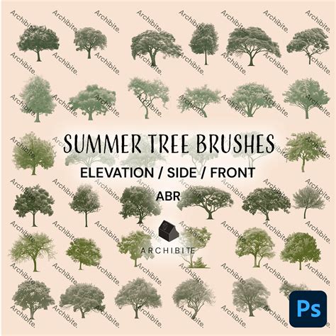 Photoshop Brushes Summer Trees Elevation Archibite Com