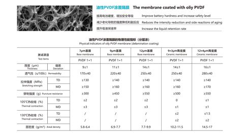 油性PVDF涂覆隔膜 青岛蓝科途膜材料有限公司