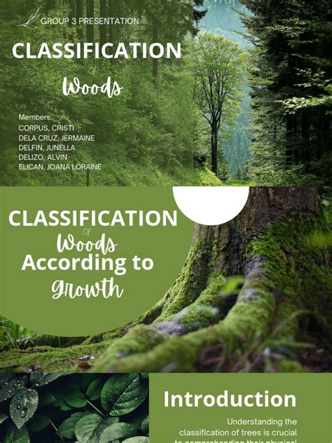 Group 3 Classification Of Woods Compressed Pdf