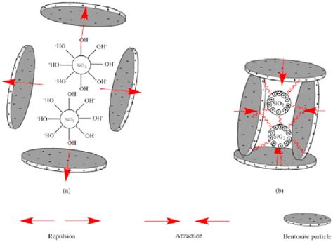 Repulsion And Attraction Between Bentonite Particles And A Unmodified