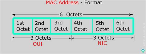 Understanding MAC Addresses NetworkByte