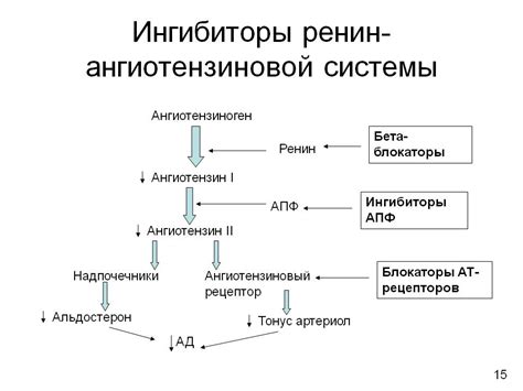 Кандесартан: инструкция по применению, отзывы, аналоги и разновидности