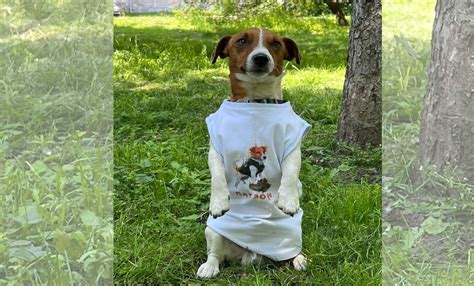 Новини про Чернігів та Чернігівську область